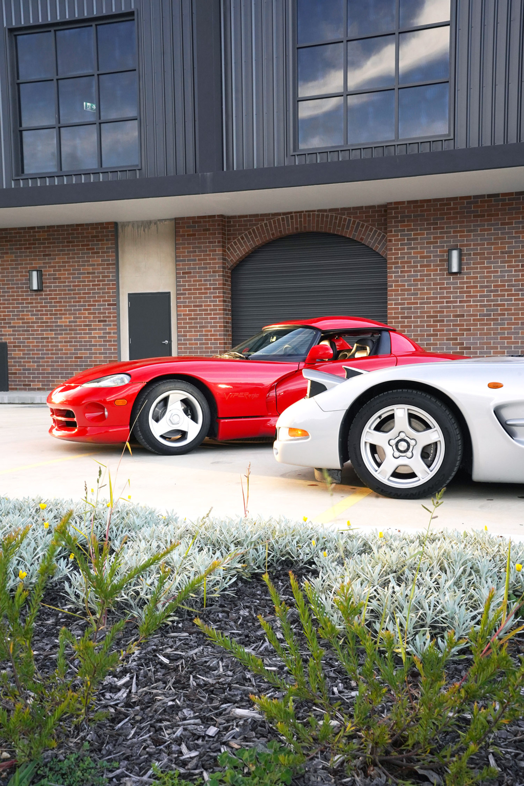 Import Cars - Cult & Classic : Cult & Classic